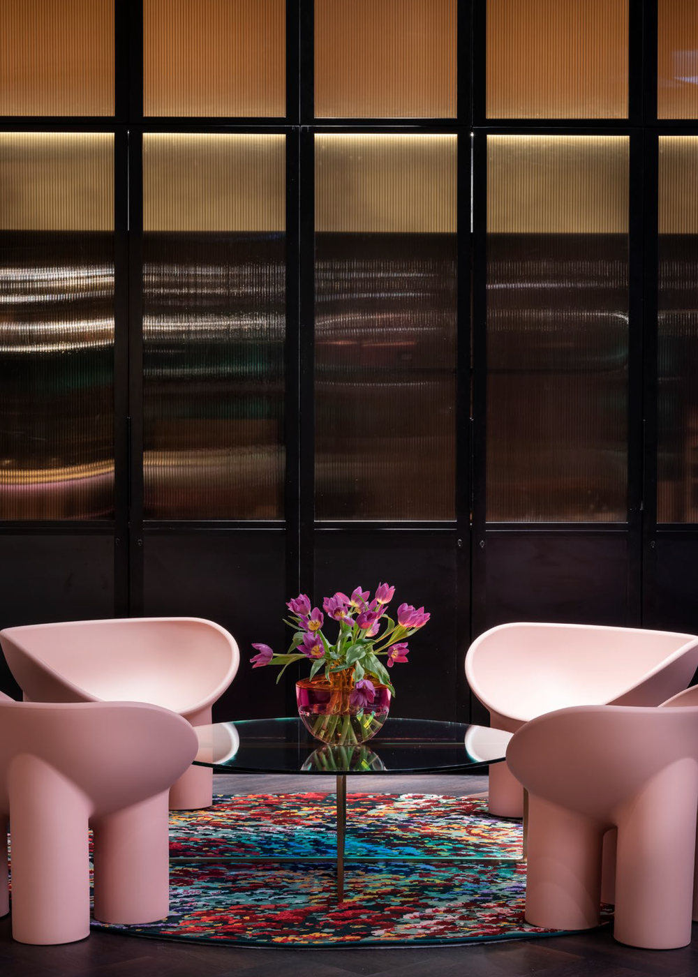 Portfolio – Designer Rugs New Zealand